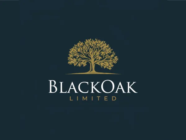 Any Logo Generator - Instantly generate similar logos with AI - AnyLogo